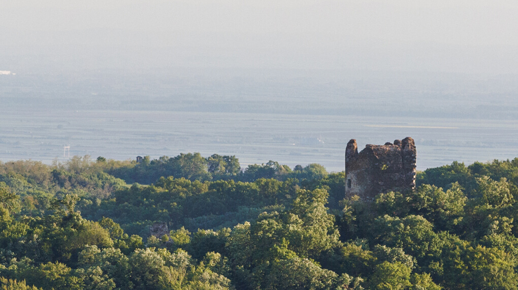 Empower Your UI with React Development